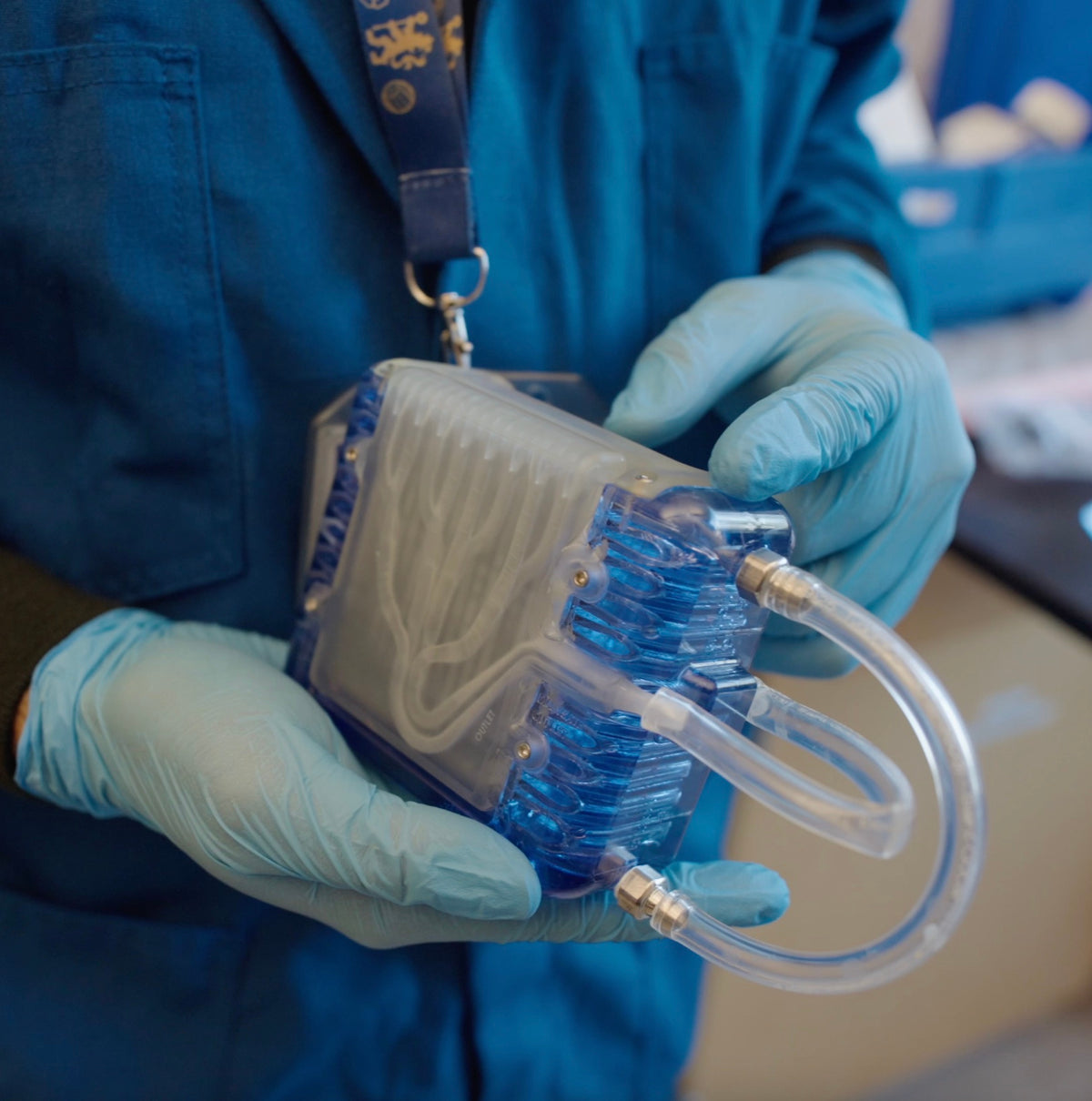 The Kidney Project Store